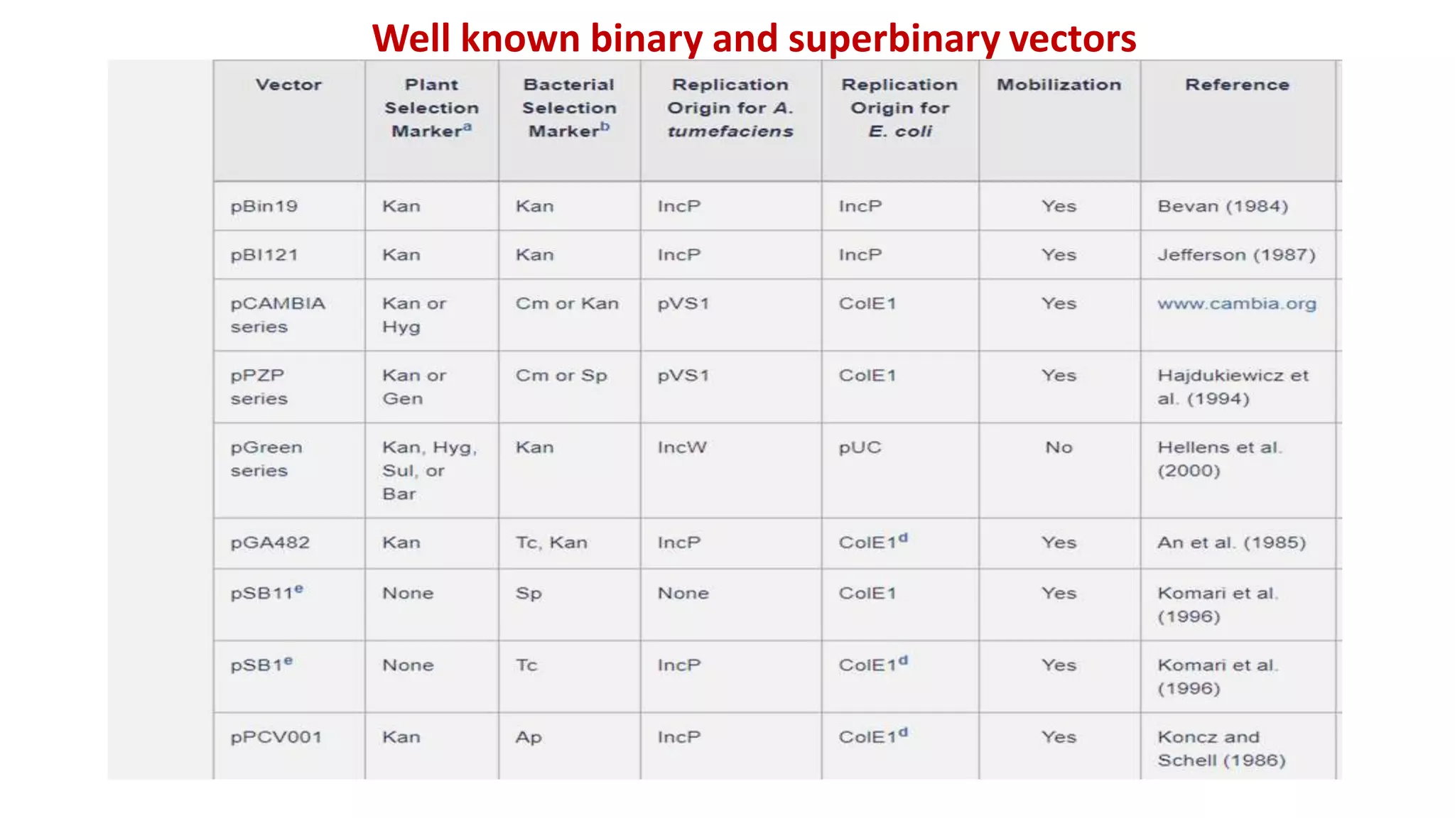 Binary_and_Shuttle_Vectors__1_.pdf