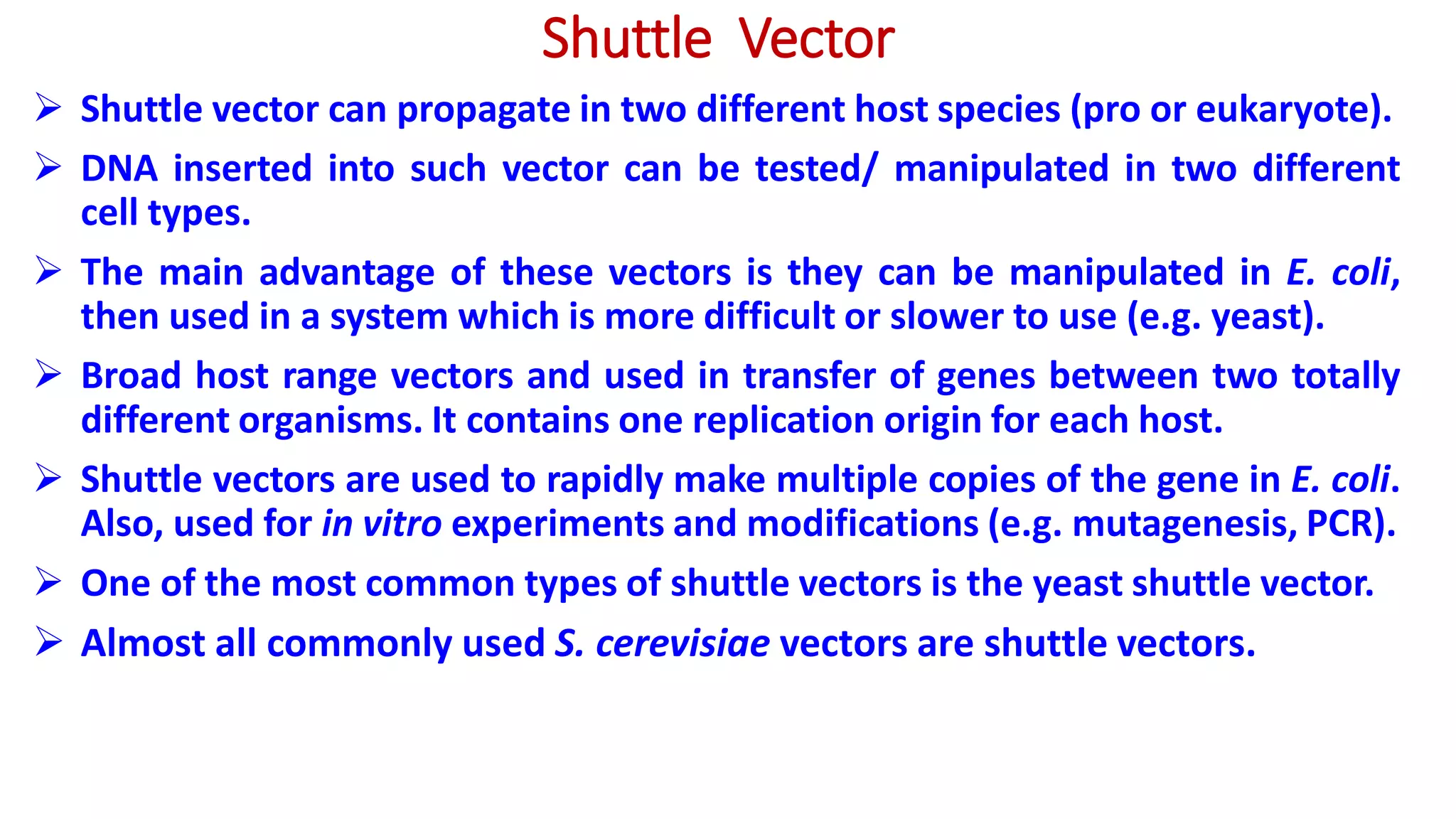 Binary_and_Shuttle_Vectors__1_.pdf