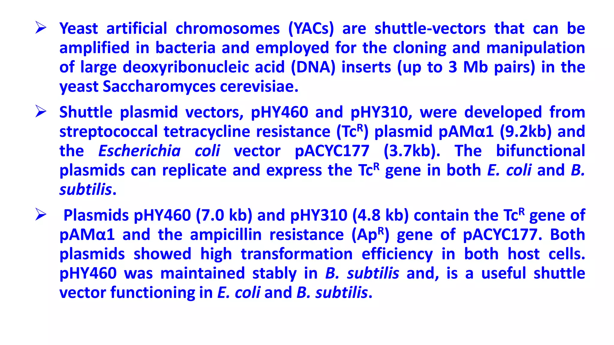 Binary_and_Shuttle_Vectors__1_.pdf