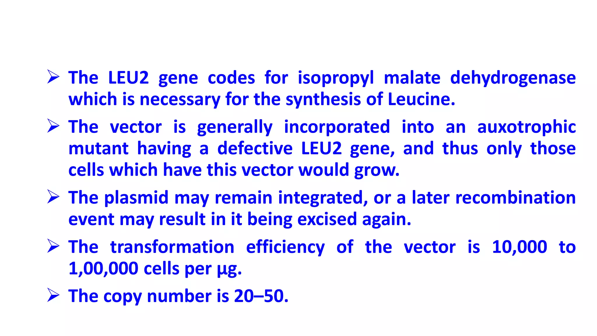Binary_and_Shuttle_Vectors__1_.pdf