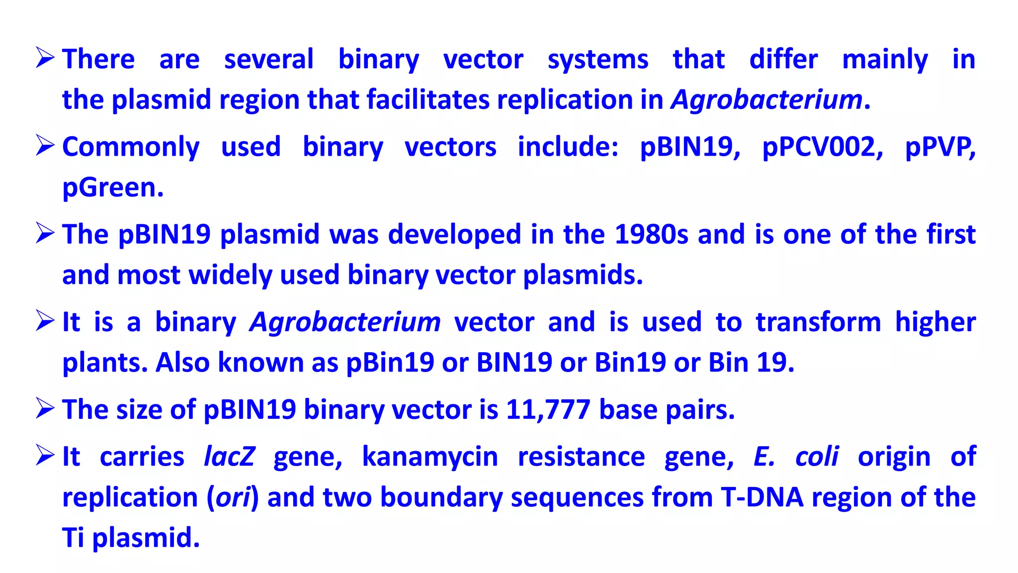 Binary_and_Shuttle_Vectors__1_.pdf
