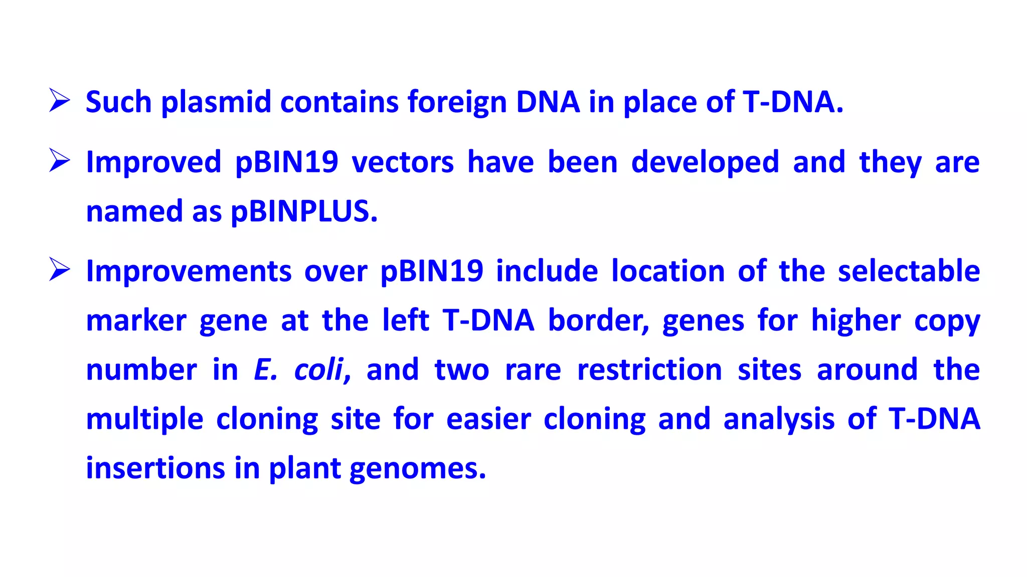 Binary_and_Shuttle_Vectors__1_.pdf