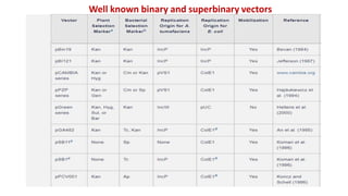 Binary_and_Shuttle_Vectors__1_.pdf