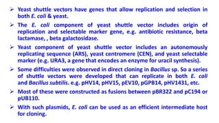 Binary_and_Shuttle_Vectors__1_.pdf