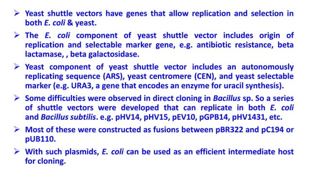Binary_and_Shuttle_Vectors__1_.pdf
