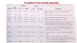 Binary_and_Shuttle_Vectors__1_.pdf