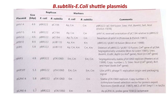 Binary_and_Shuttle_Vectors__1_.pdf