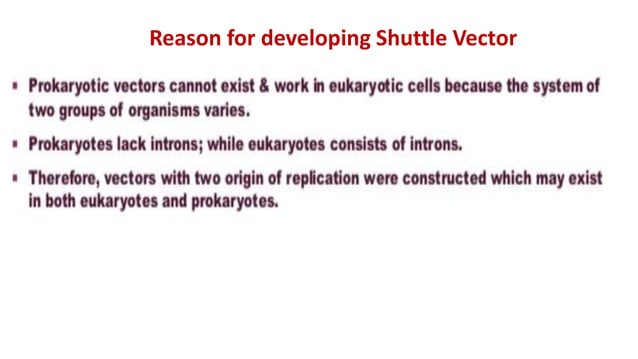Binary_and_Shuttle_Vectors__1_.pdf