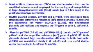 Binary_and_Shuttle_Vectors__1_.pdf