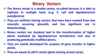 Binary_and_Shuttle_Vectors__1_.pdf