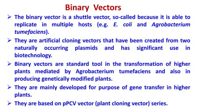 Binary_and_Shuttle_Vectors__1_.pdf