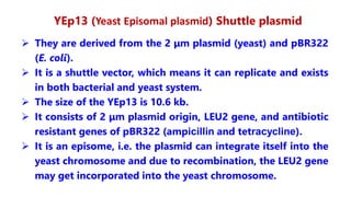 Binary_and_Shuttle_Vectors__1_.pdf