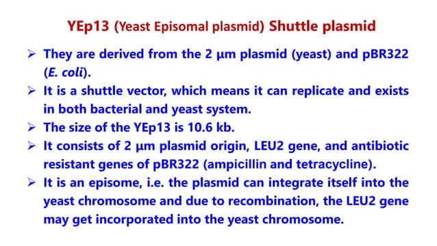 Binary_and_Shuttle_Vectors__1_.pdf