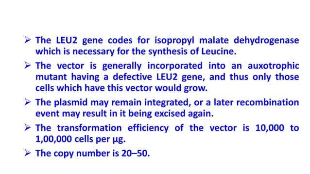 Binary_and_Shuttle_Vectors__1_.pdf