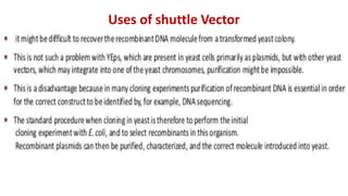 Binary_and_Shuttle_Vectors__1_.pdf
