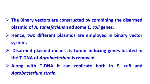 Binary_and_Shuttle_Vectors__1_.pdf