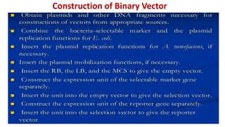 Binary_and_Shuttle_Vectors__1_.pdf
