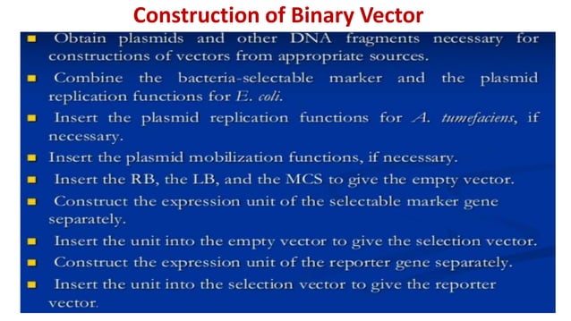 Binary_and_Shuttle_Vectors__1_.pdf