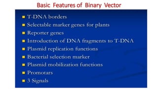Binary_and_Shuttle_Vectors__1_.pdf