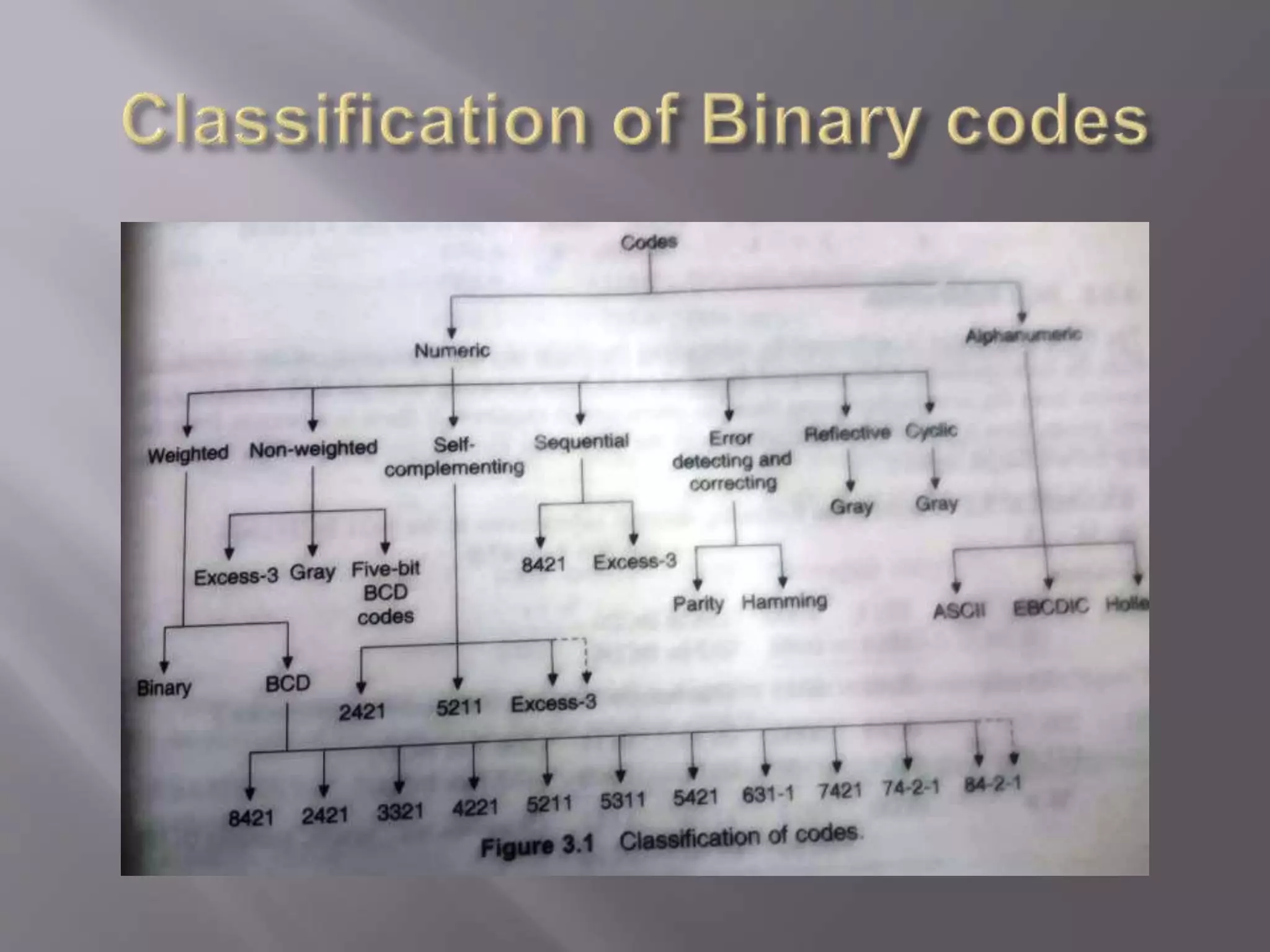 Binary codes | PPTX | Programming Languages | Computing