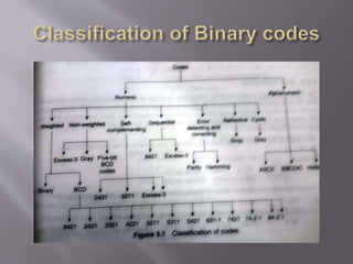 Binary codes | PPTX | Programming Languages | Computing