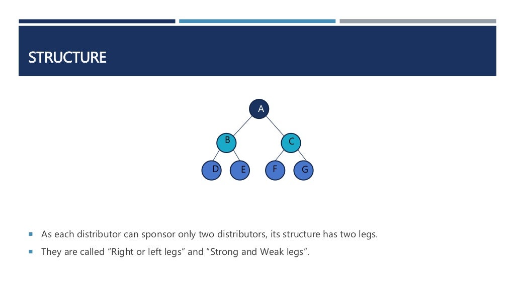 Network Marketing Business Binary Plan