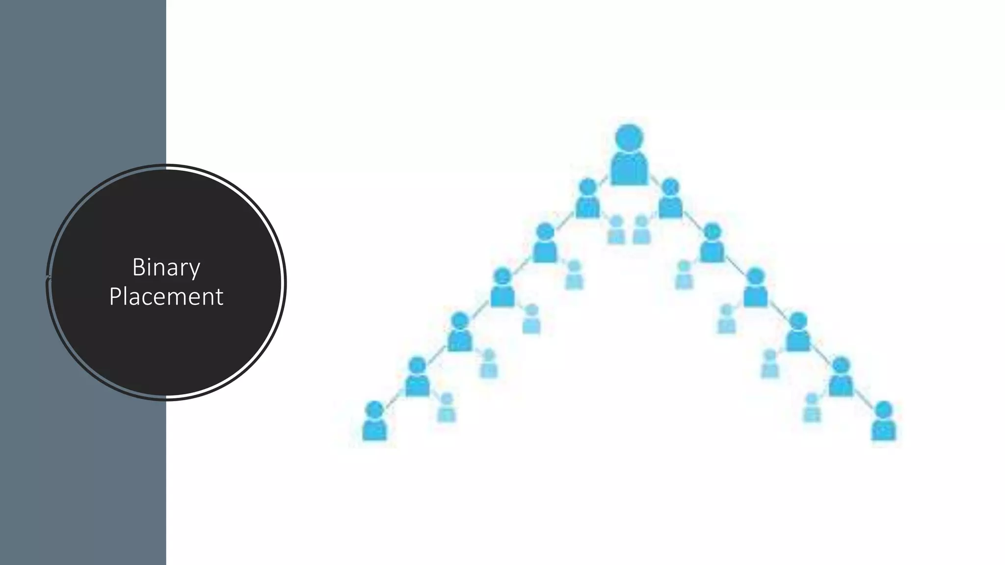 MLM Binary Compensation Plan Overview | PPTX | Business Accounting ...