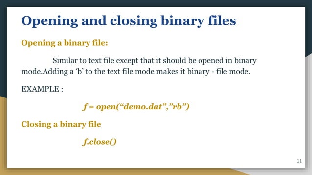 Binary File.pptx