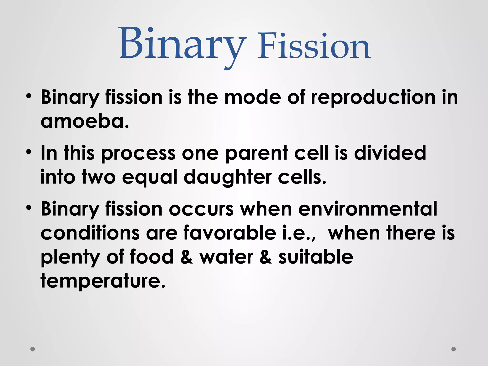 Binary fission in amoeba | PPT