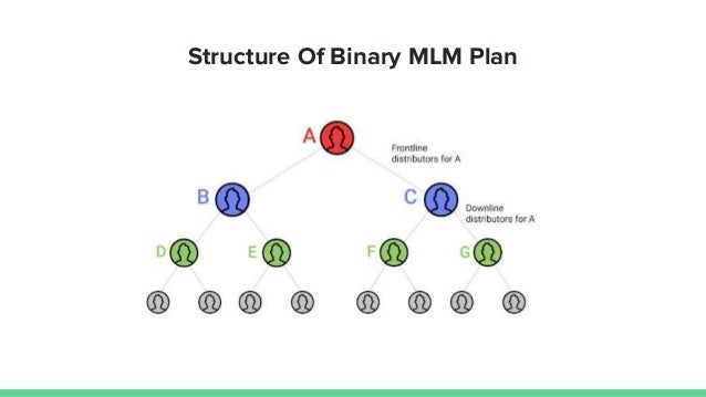 Binary MLM Plan & Its Working | PPTX | Marketing and Advertising | Business