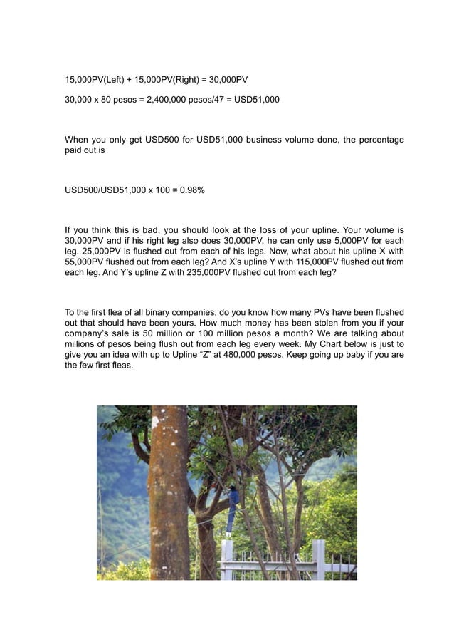 Binary markrting plans | PDF