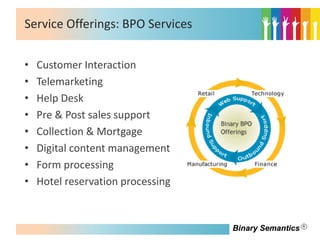 Binary Semantics Limited Corporate Overview | PDF