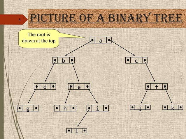 BINARY TREE | PPT