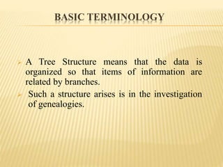 Binary tree | PPT