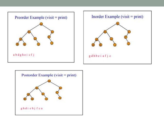 Binary tree | PPT