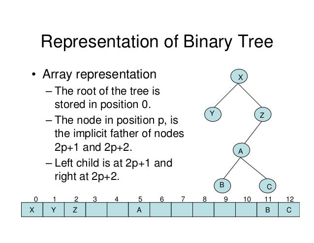 Binary Tree