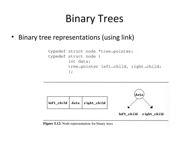 Binary tree | PPT | Programming Languages | Computing