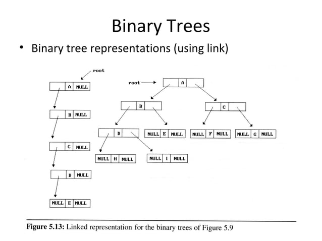 Binary tree | PPT | Programming Languages | Computing