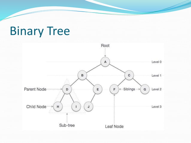 Binary Tree In Data Structures Ppt Programming Languages Computing
