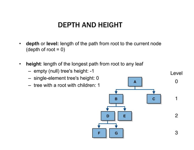 BINARY TREE REPRESENTATION.ppt | Programming Languages | Computing