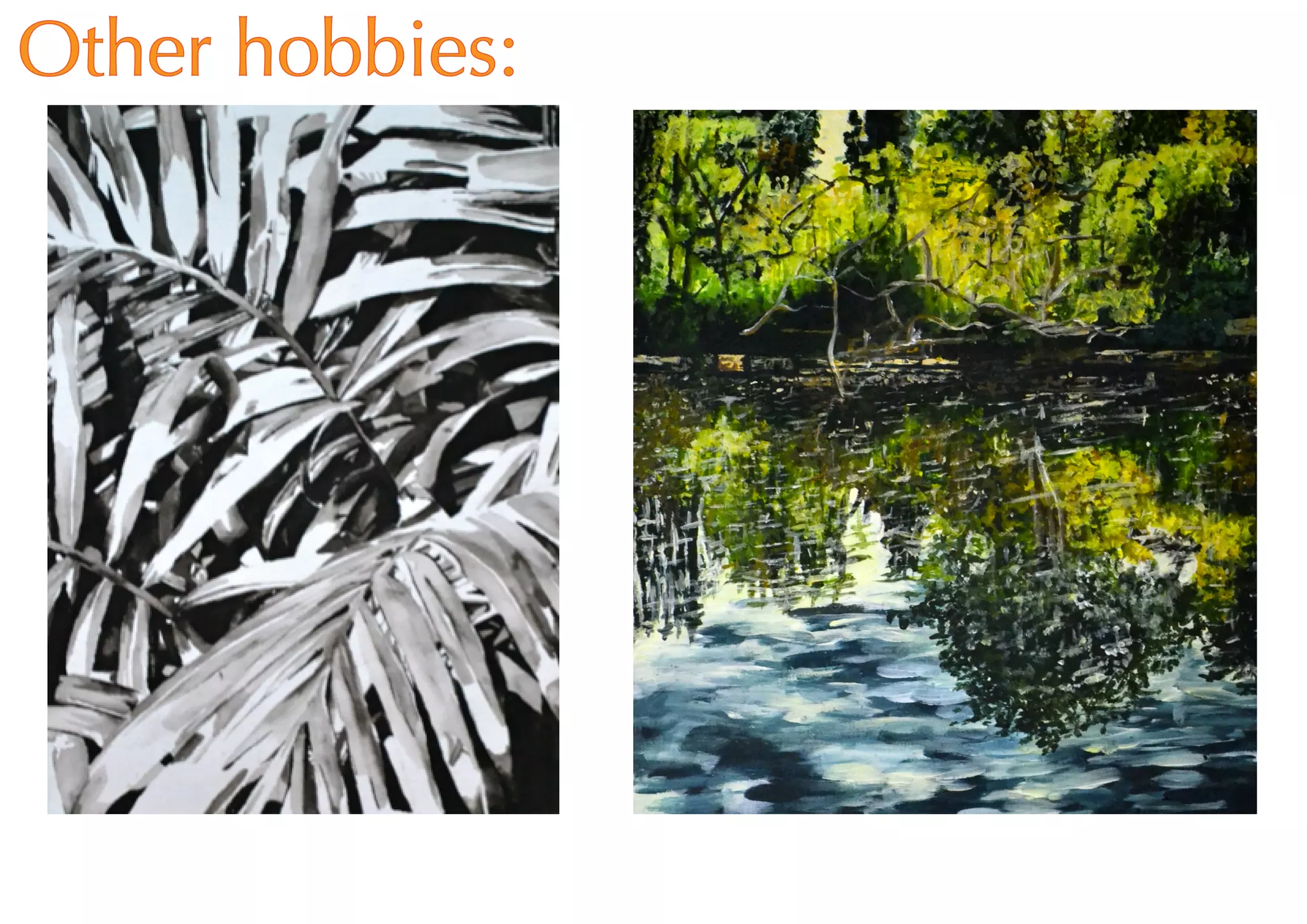 Bina sohail portfolio | PPT