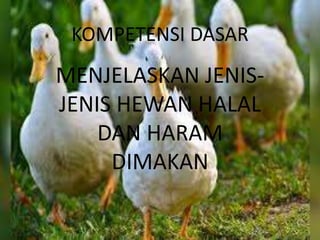 Binatang halal dan haram | PPTX