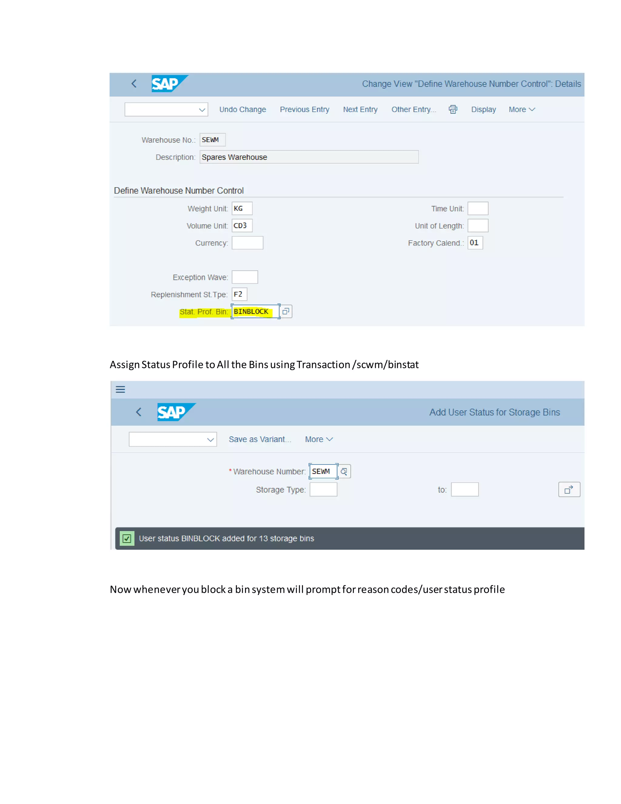 Bin blocking solution EWM | DOCX