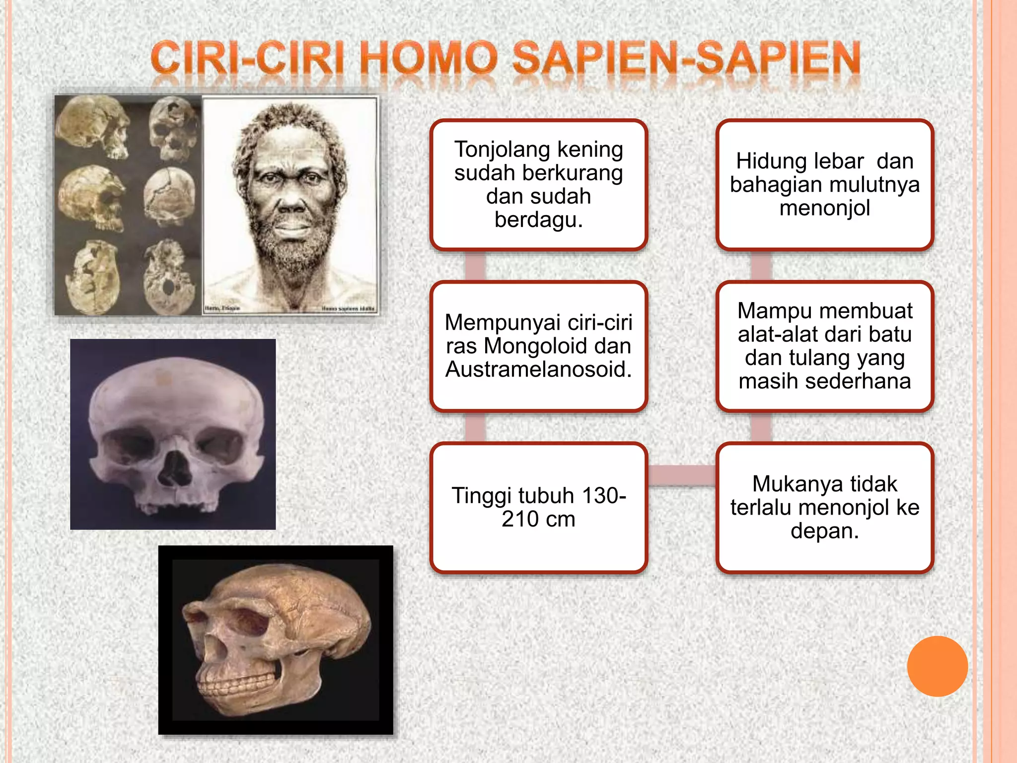 Bincangkan ciri2 dan bukti k'wujudan homo sapien sapien(dr,yunus) | PPTX