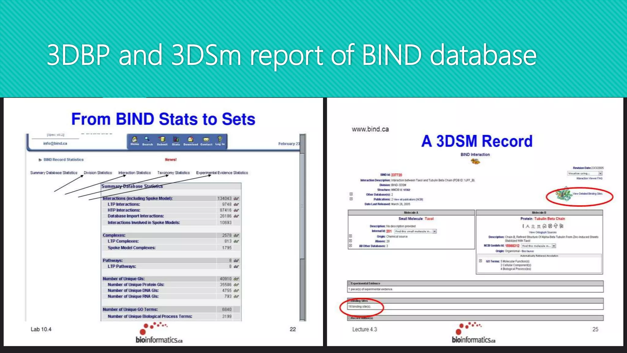 Bind database | PPTX