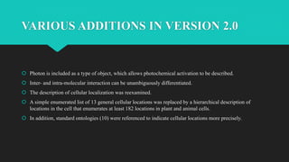 Bind database | PPTX
