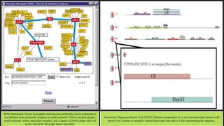 Bind database | PPTX