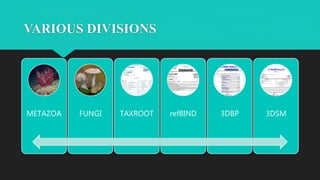 Bind database | PPTX
