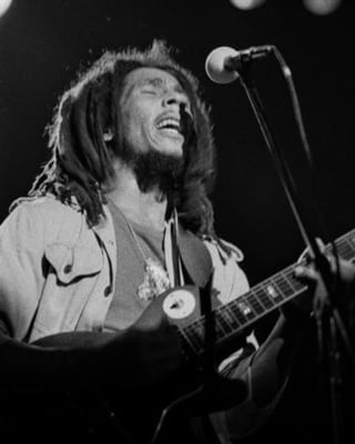 DETROIT 1975 (LENI SINCLAIR) | PDF