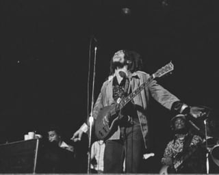 DETROIT 1975 (LENI SINCLAIR) | PDF
